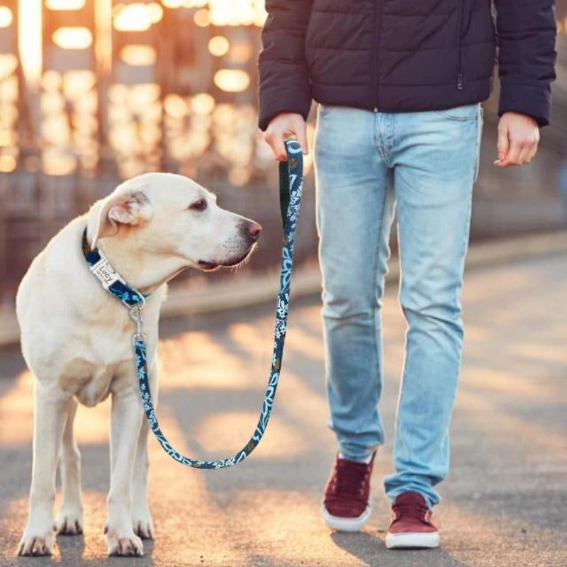 Toggy Doggy | Personalized Dog Tag Collar & Leash, Red, Blue, & More S-L